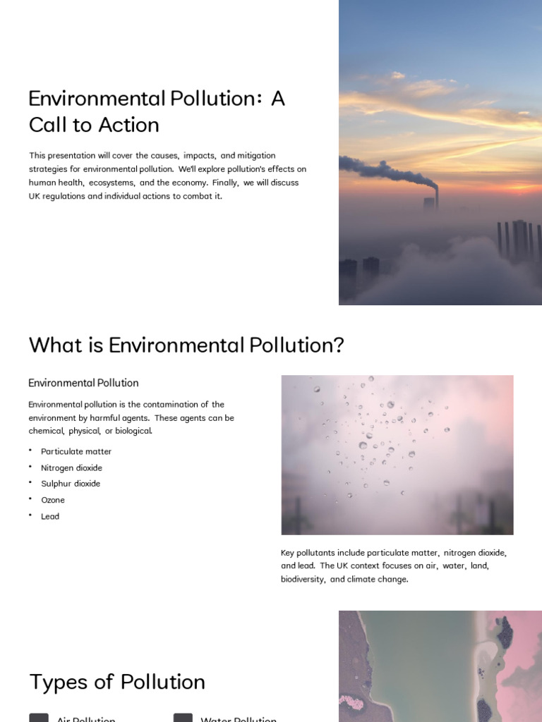 Environmental Pollution A Call To Action | PDF | Environmental Social ...