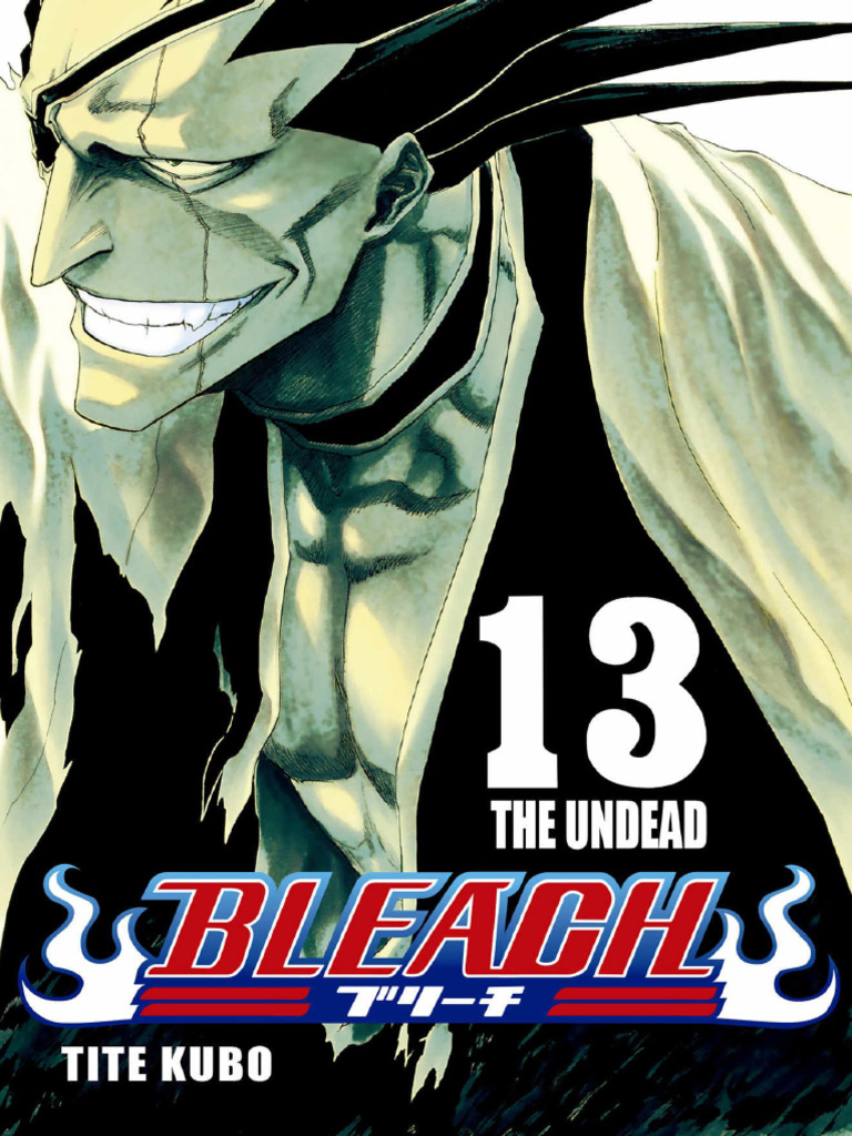 Bleach - Volume 13 | PDF