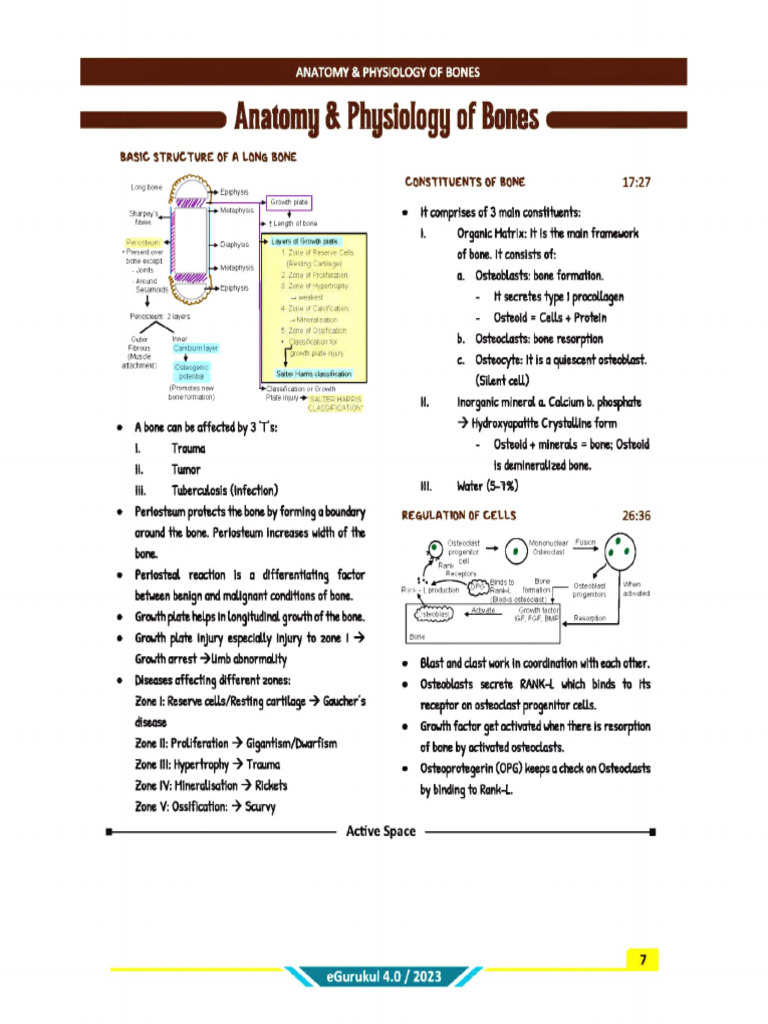 Ort Revn - 250617 - 141345 | PDF