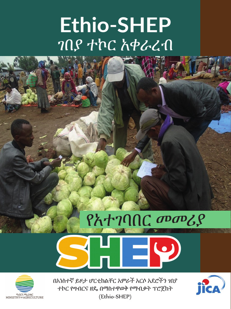 Guideline Amha | PDF