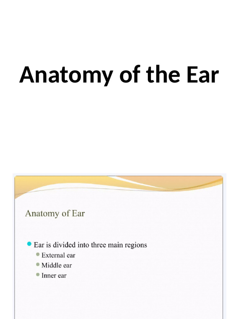 Detailed Anatomy of the Cochlea | PDF
