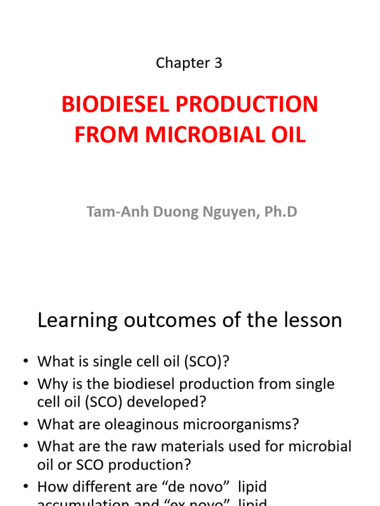 Biodiesel from Microbial Oil Production | PDF | Lipid | Biosynthesis
