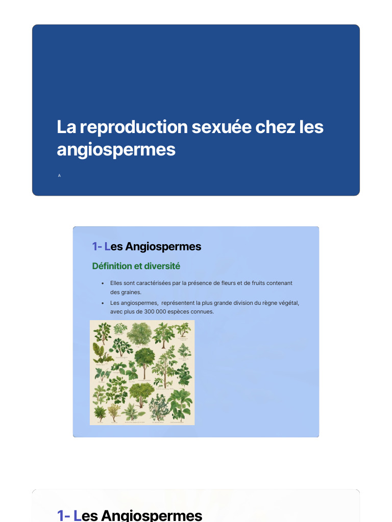 Reproduction sexuée des angiospermes | PDF | la reproduction ...