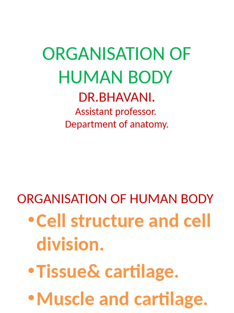 Organisation of Human Body | PDF