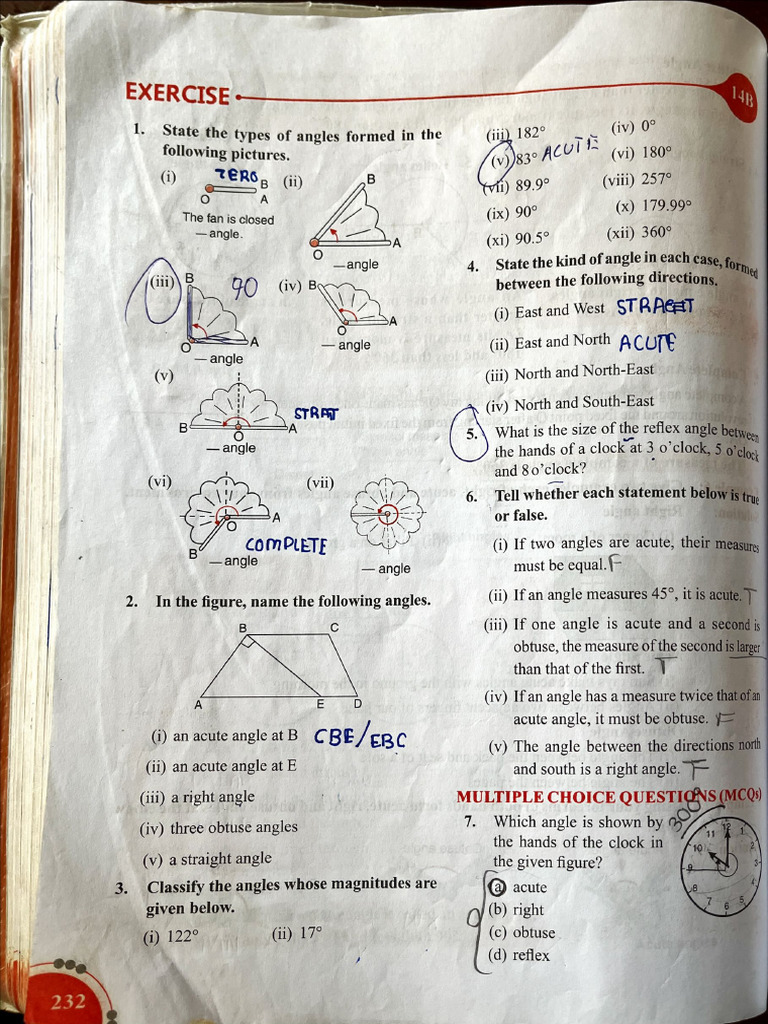 Elementary Shapes Chapter | PDF