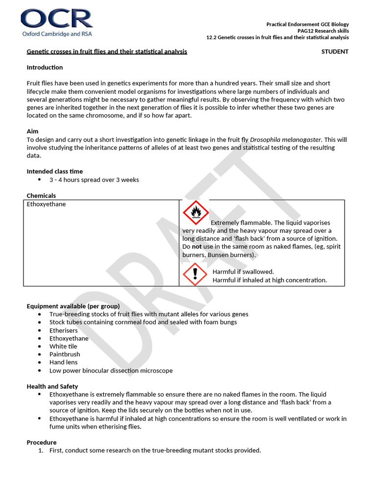 PAG12.2 Student Fruit Fly Crosses and Analysis - v0.1 | PDF | Drosophila Melanogaster | Experiment