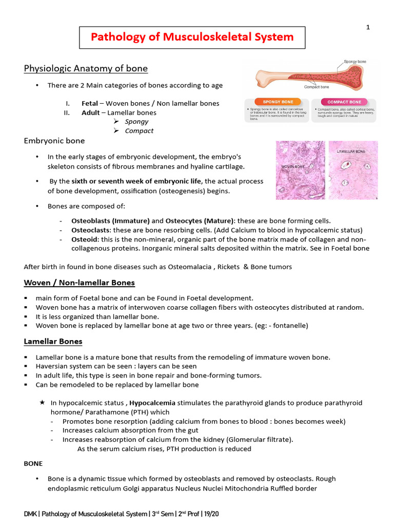 Pathology of Musculoskeletal System | PDF | Bone | Arthritis