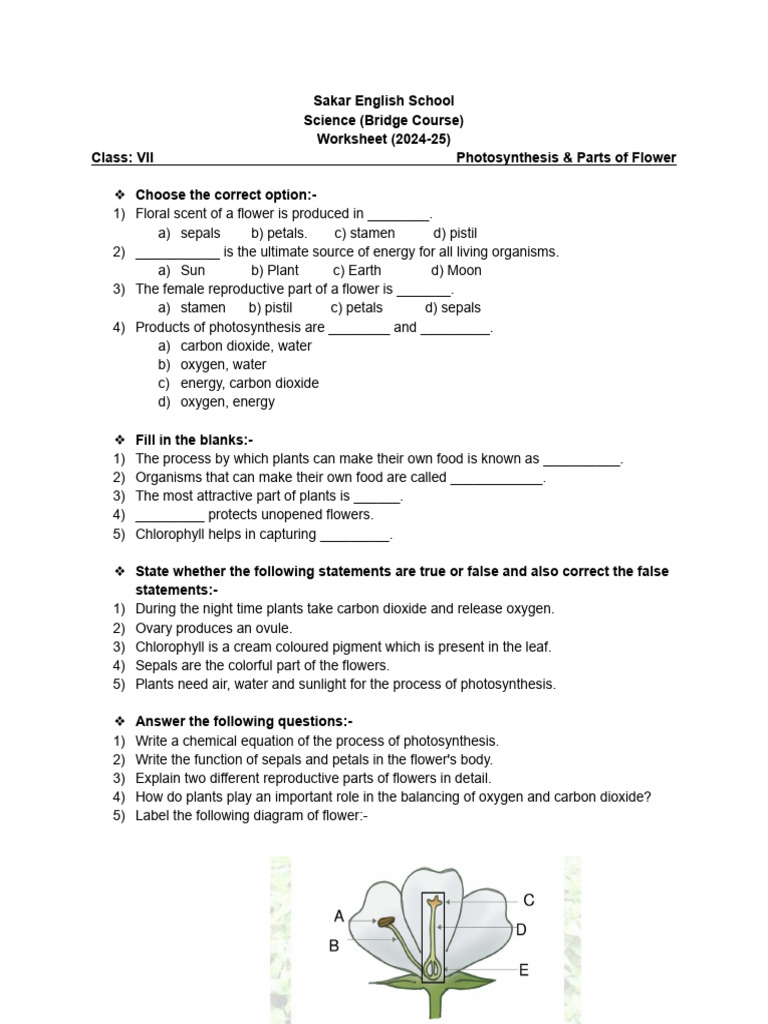 Class 7 - Science - Bridge Course - WS1 | PDF