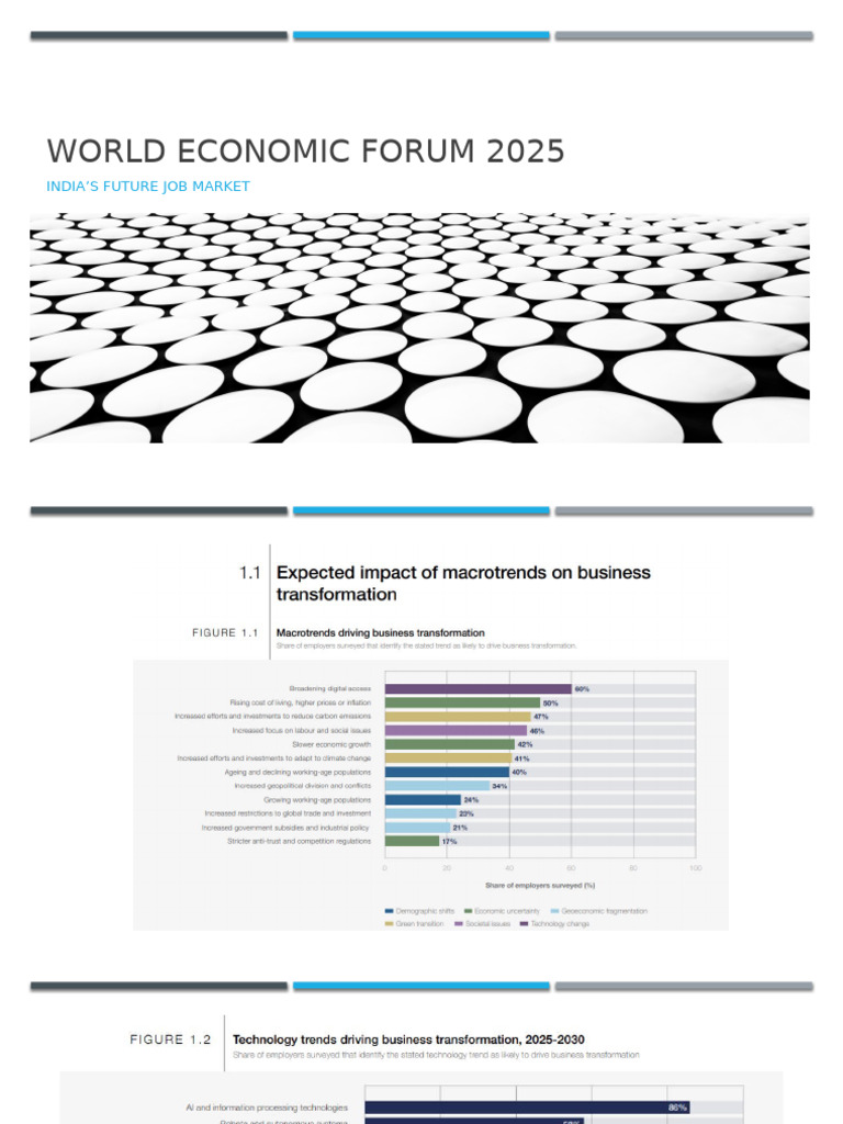 World Economic Forum 2025 | PDF