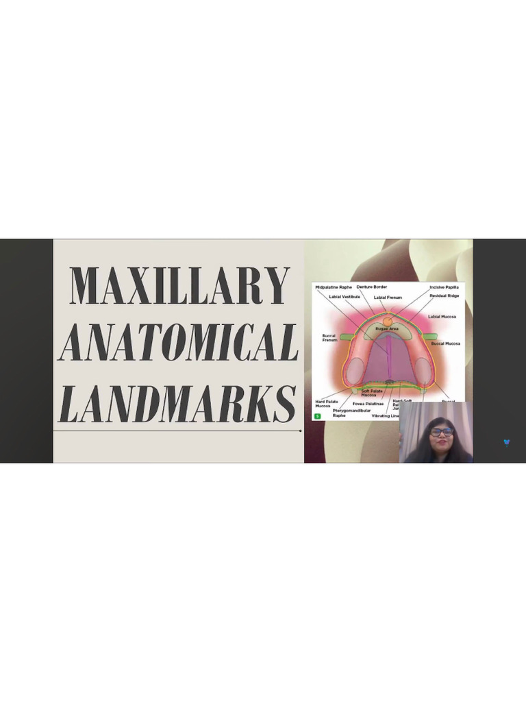Anatomical Landmarks of Maxilla and Mandible | PDF