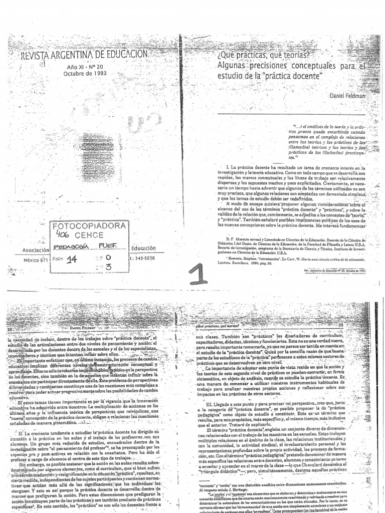 Feldman Practica Docente | PDF