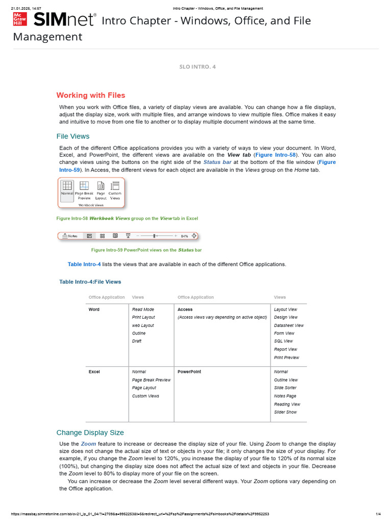 Office File Management and Views Guide | PDF | Window (Computing ...
