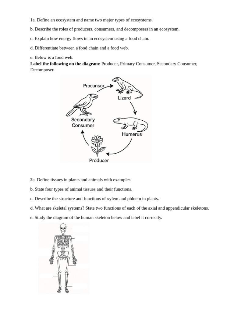 Biology Questions SS1 and SS2 | PDF | Ecosystem | Ecology
