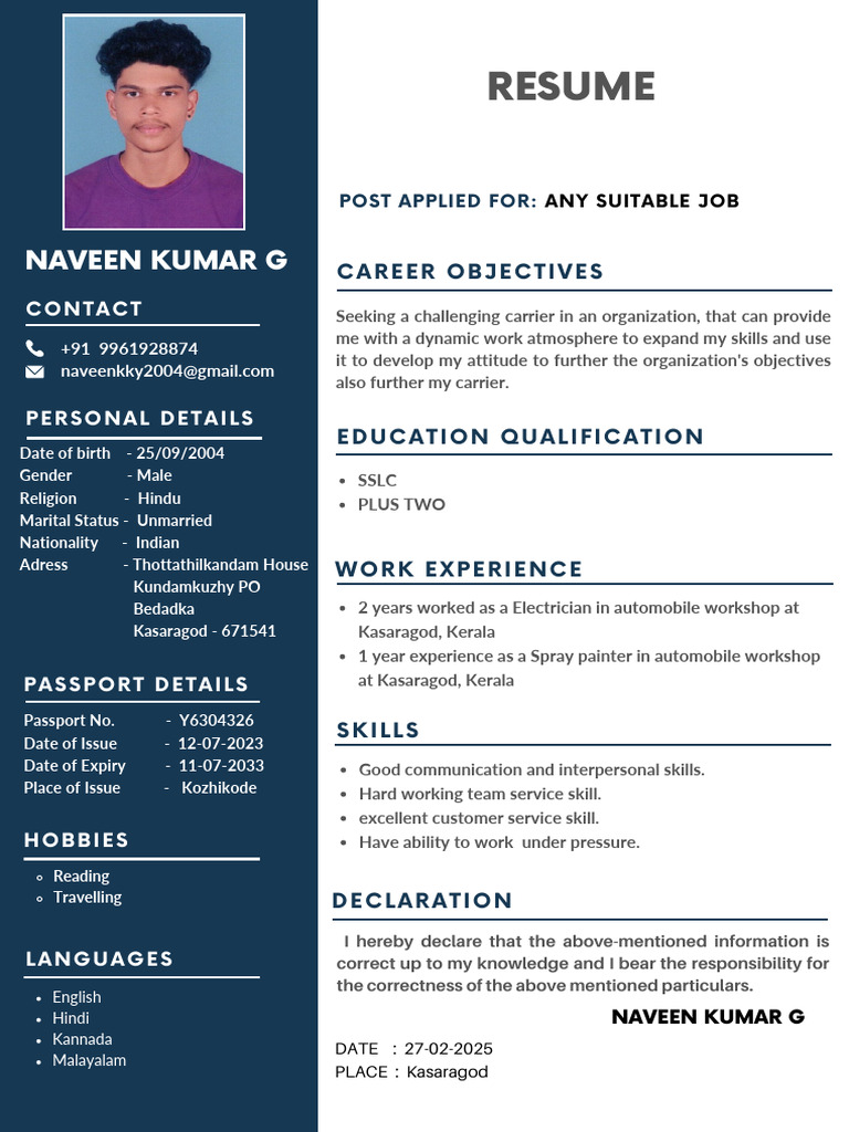 Blue Simple Professional CV Resume | PDF