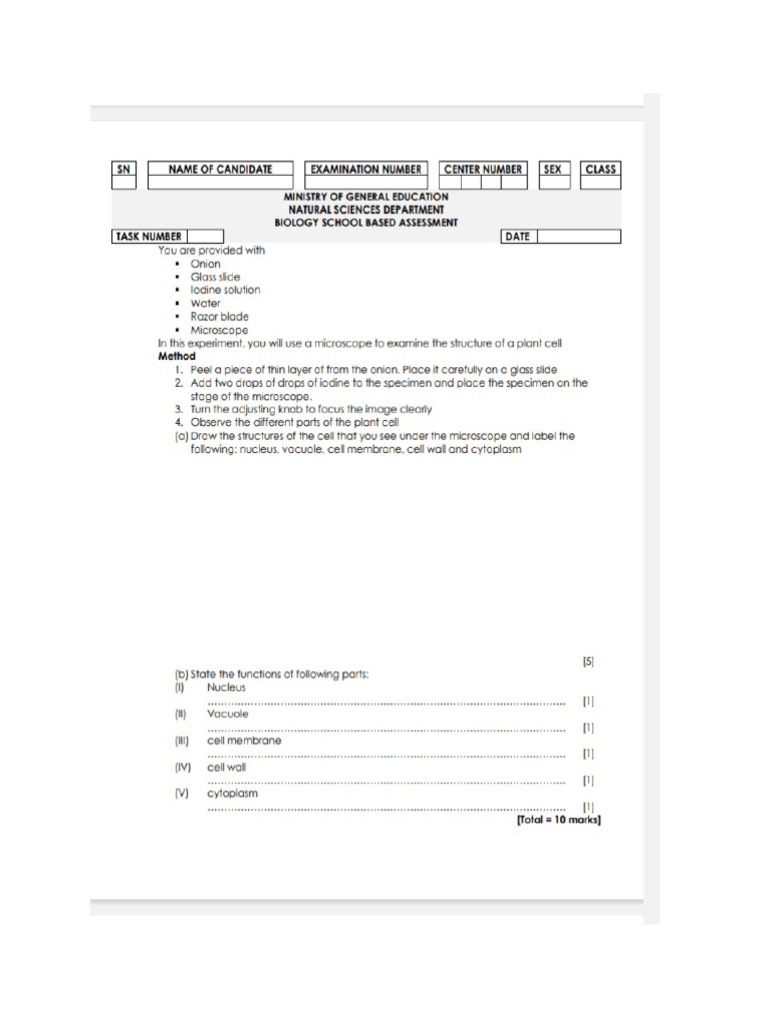 Form 1 Practical 3 | PDF