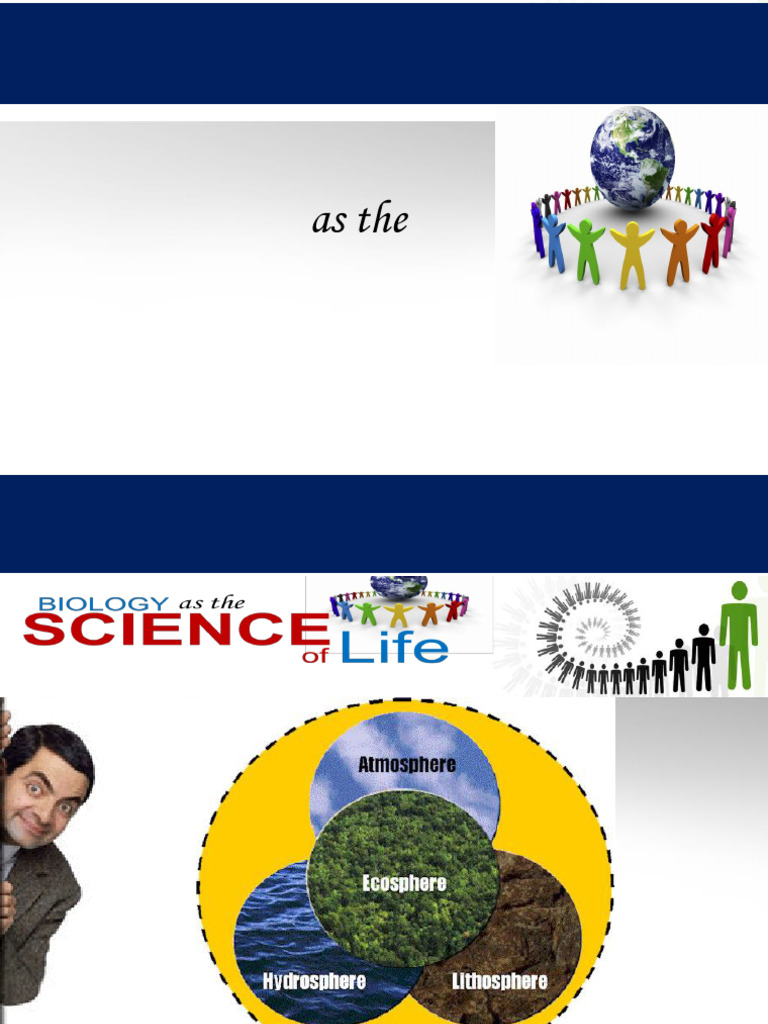 Cell Theory and Cell Parts and Their Functions | PDF | Endoplasmic ...