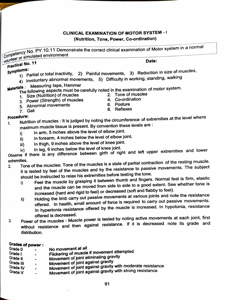 Clinical Motor System Examination Guide | PDF | Anatomical Terms Of ...