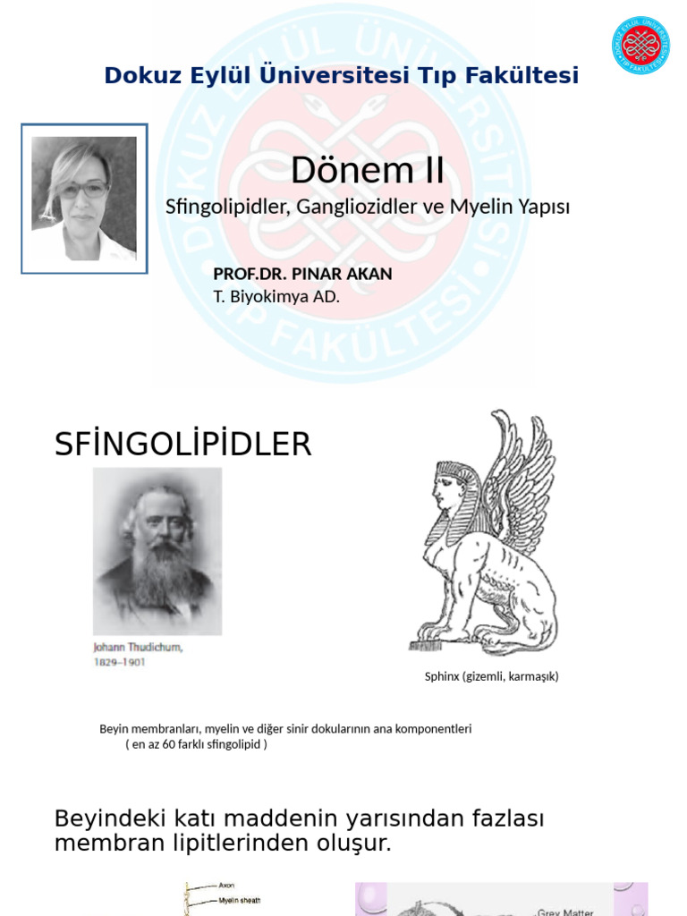 Sunum 6 DR - Pinar Akan Sfingolipidler Gangliozidler d2 | PDF