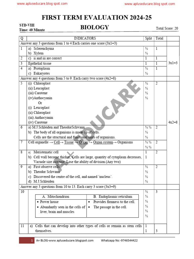 A+ Blog-Std-8-First Term Exam 2024-25-Biology-Answer Key (Em) | PDF | Tissue (Biology) | Cell ...
