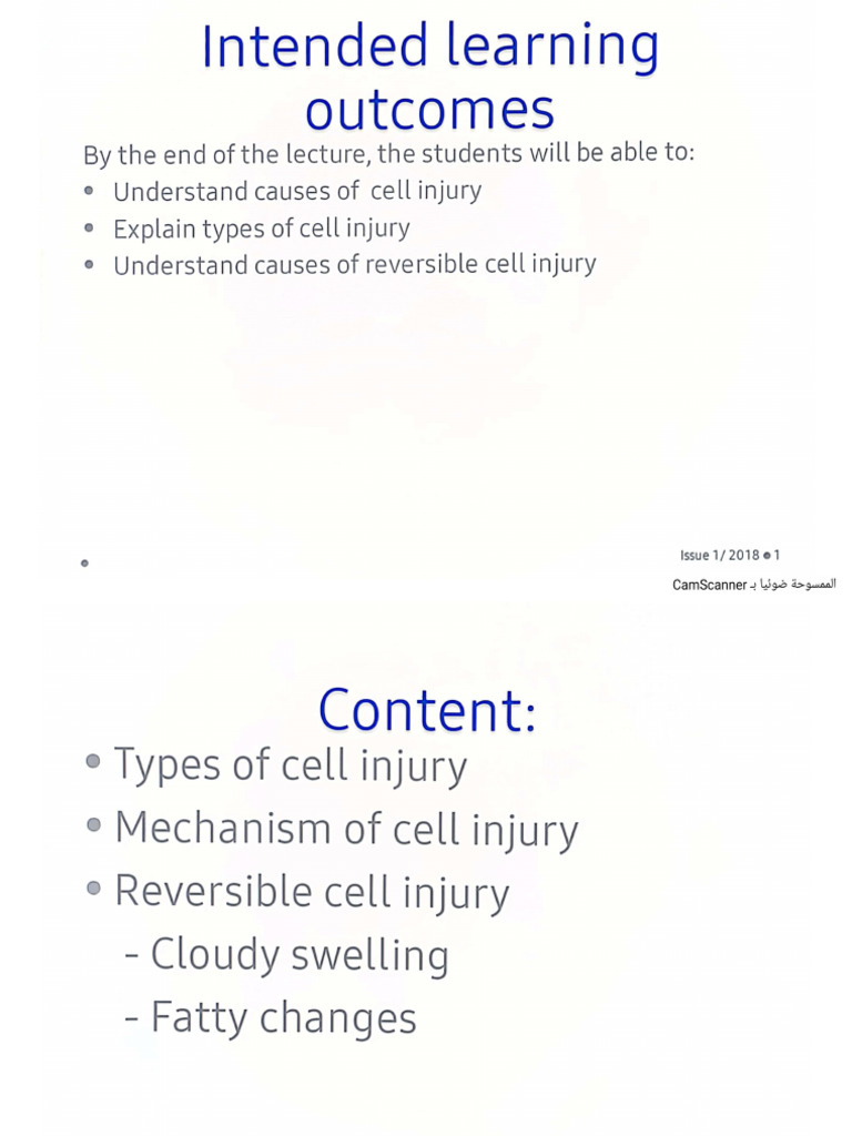 Pathology Lect 2 | PDF