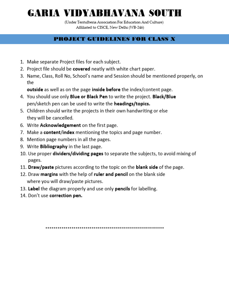 Class 10 Project Guidelines 2025 | PDF
