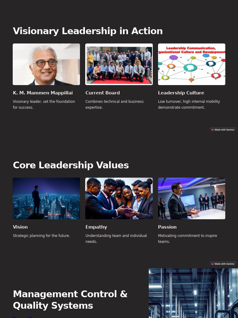 Visionary Leadership in Action | PDF