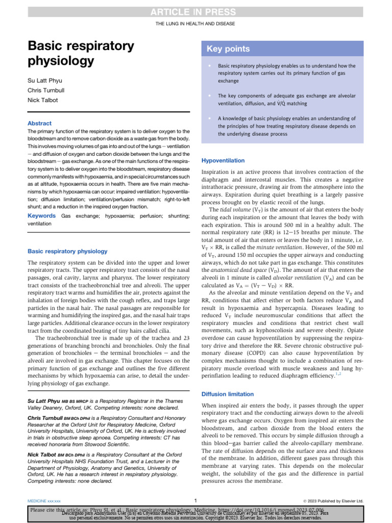 Basic Respiratory Physiology | PDF | Respiratory Tract | Respiratory System
