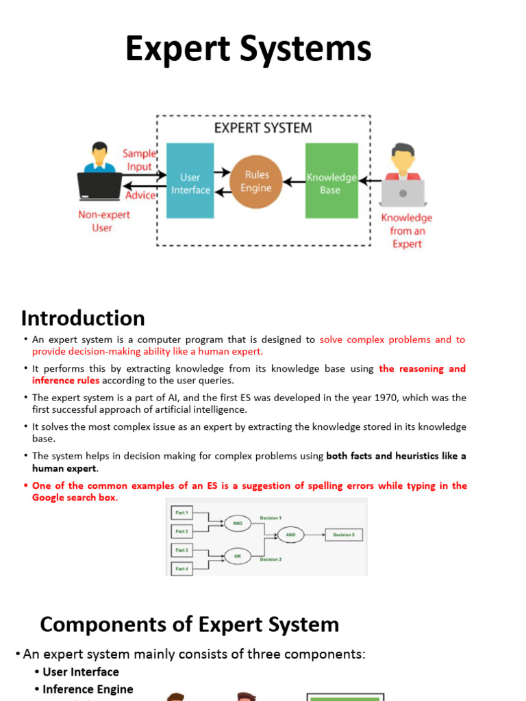 5 Expert Systems | PDF