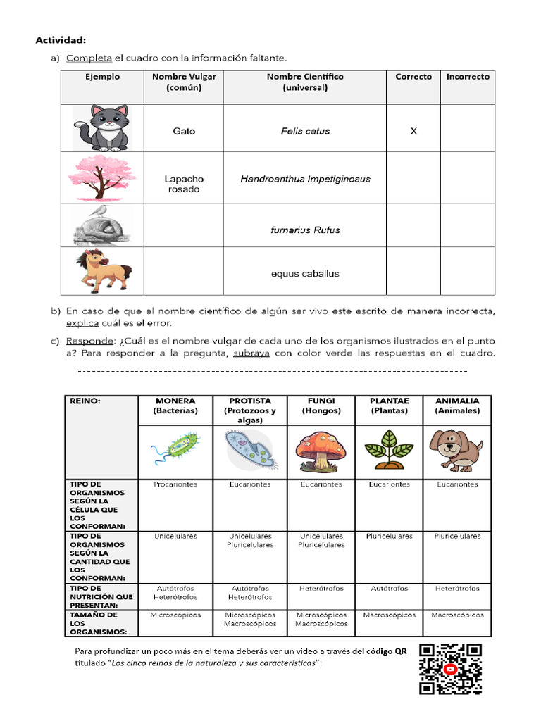 Prof. Donello A - Nombre Cient-Fico y Reinos (Material para Imprimir) | PDF
