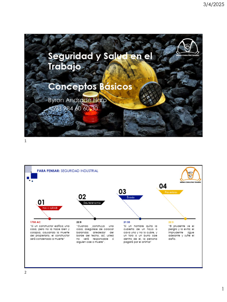 Coceptos Basicos | PDF | Seguridad y salud ocupacional | La seguridad