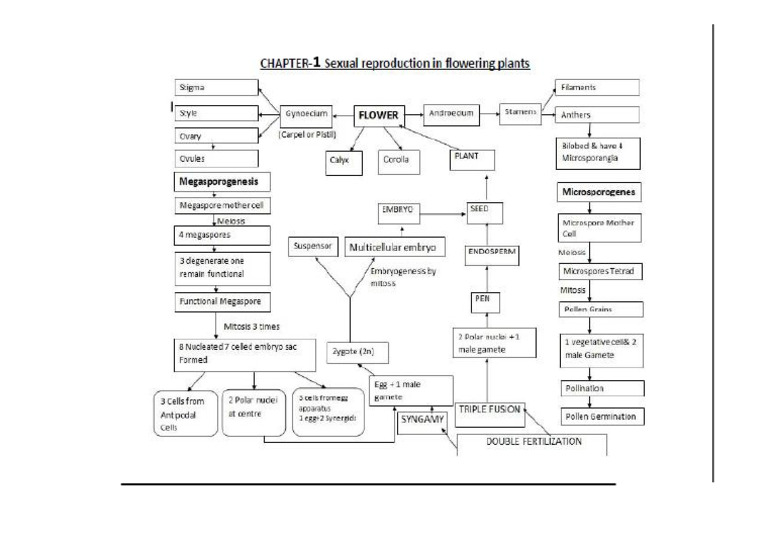 Bio Chapter 1 Mind:Concept Map | PDF