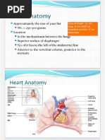 Anatomy Heart Cadaver | PDF | Heart Valve | Coronary Circulation