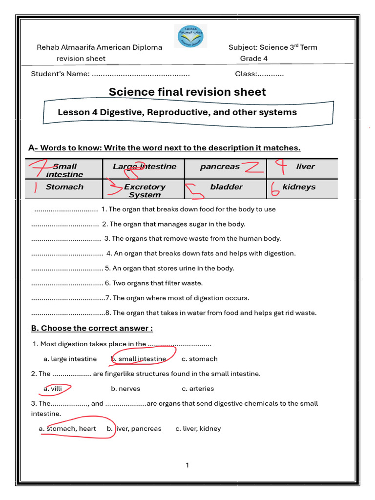 Science GR 4 4rd Term Final Revision Sheet | PDF | Fossil | Rock (Geology)