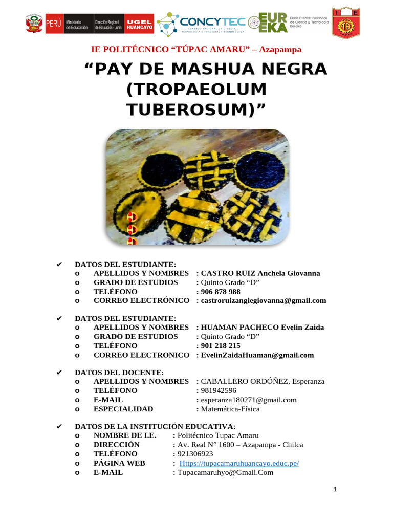 Modelo Informe-Sol Tecnologica | PDF | Alimentos | El embarazo