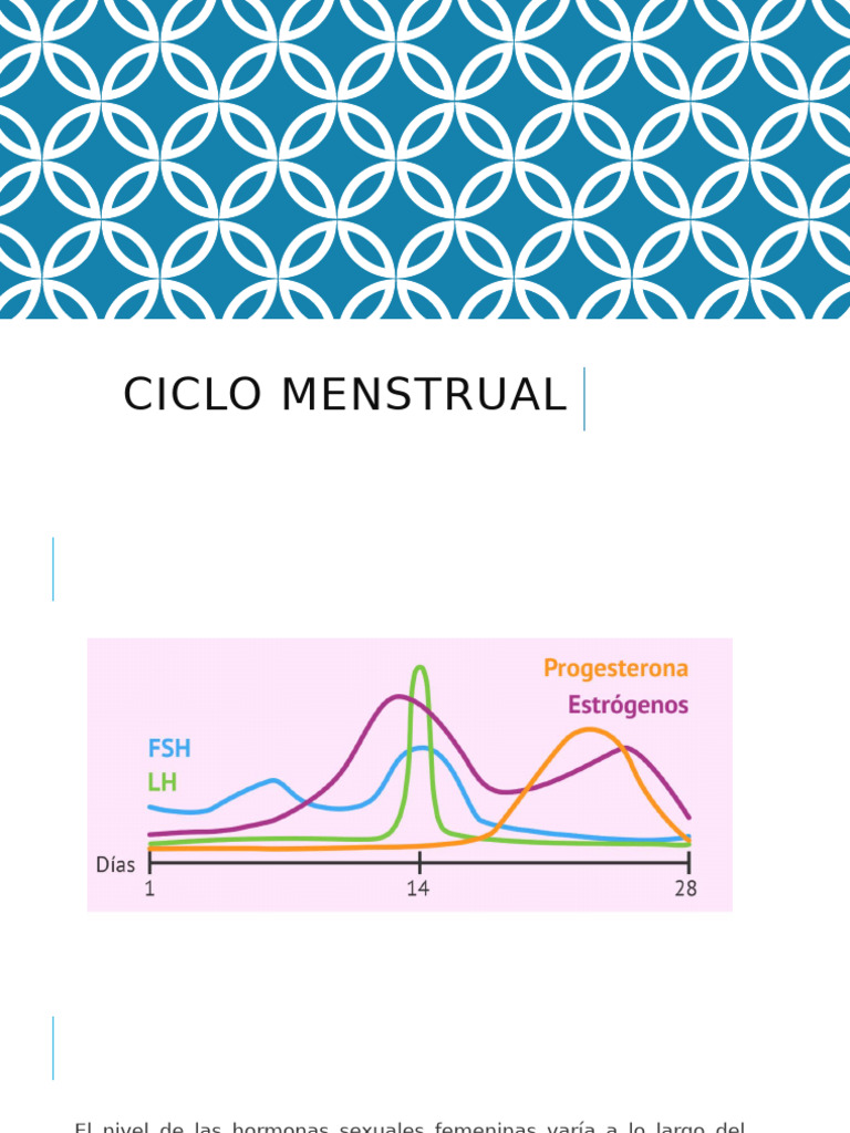 Ciclo Menstrual | PDF | Ciclo menstrual | Hormona luteinizante