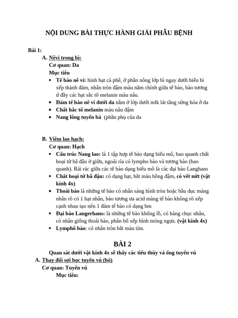 N I Dung Bài TH C Hành GPB | PDF