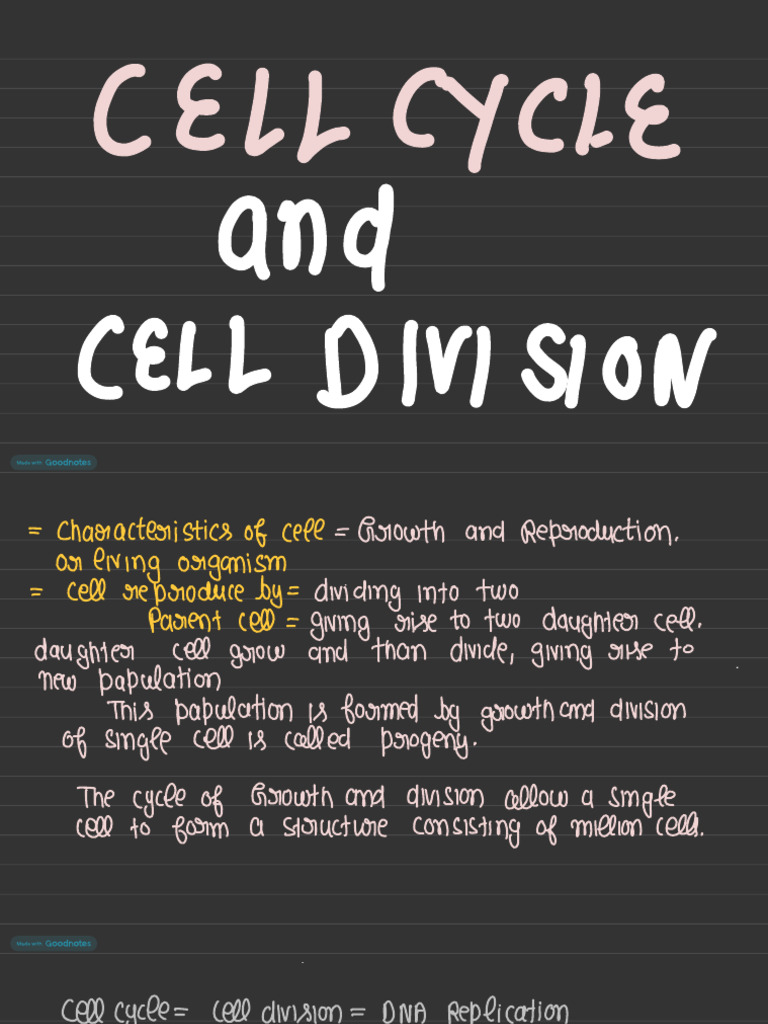 Cell Cycle Cell Division | PDF