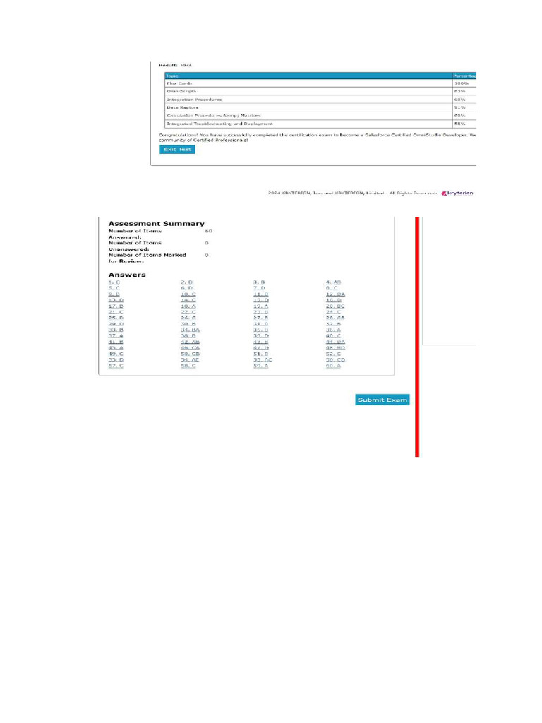 Omni Studio Developer Set 1_76 | PDF