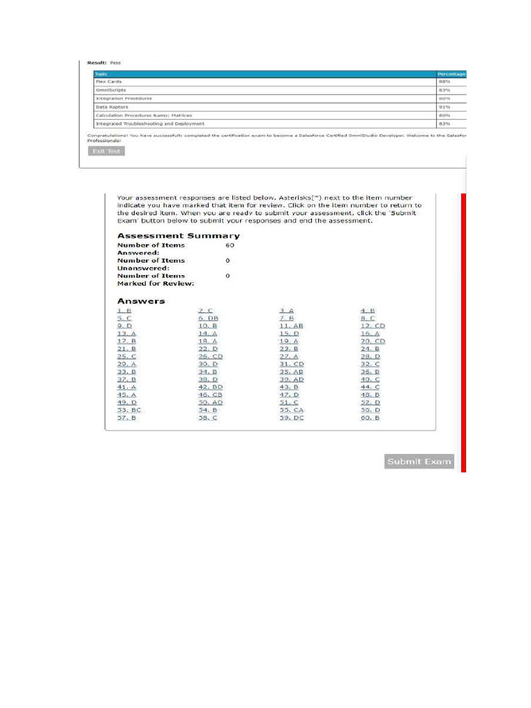 Omni Studio Developer Set 3 - 81 | PDF | Json | Computer Programming