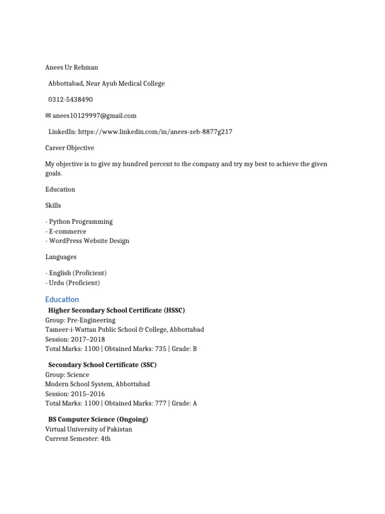 Anees Ur Rehman CV Final | PDF