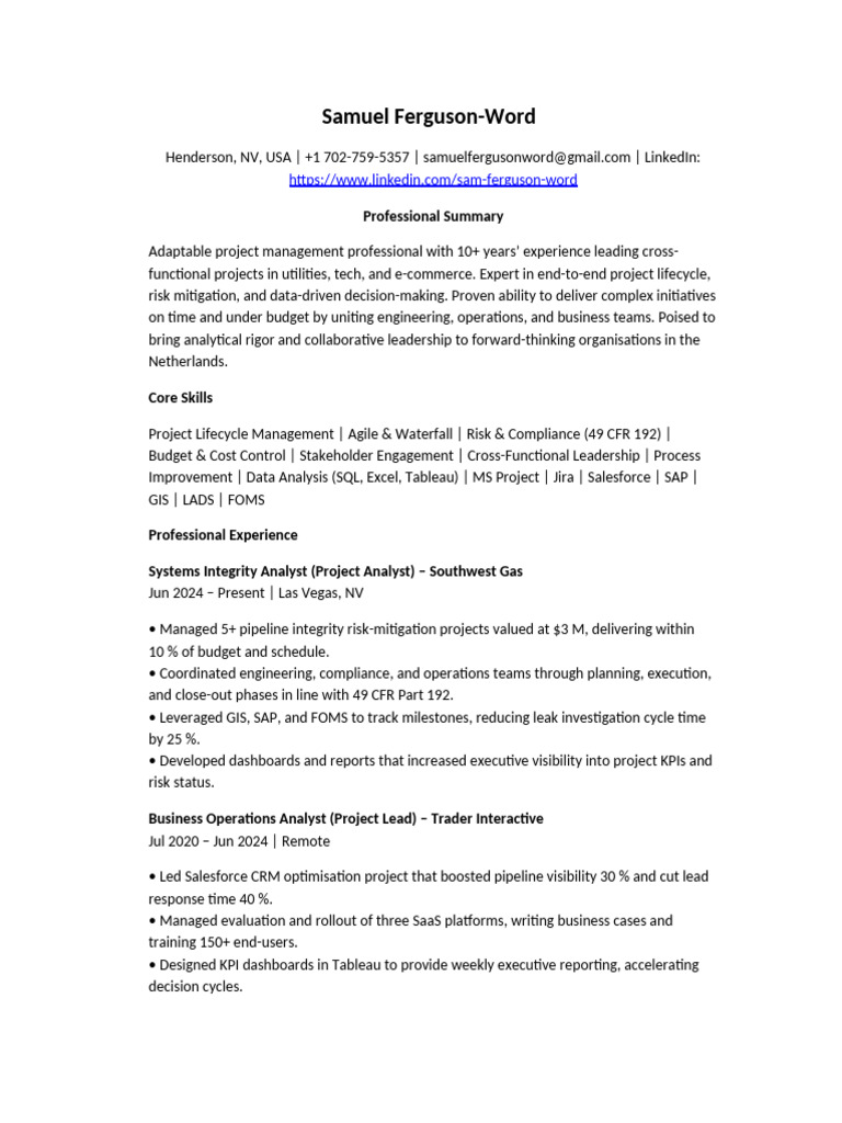 Samuel Ferguson-Word CV P | PDF | Business | Information Technology