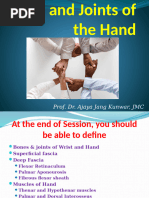 Palmar Hand Anatomy Overview | PDF | Hand | Musculoskeletal System