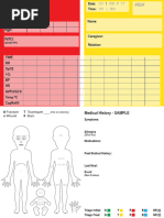 Syringe Driver Chart | PDF | Prescription Drugs | Medicine