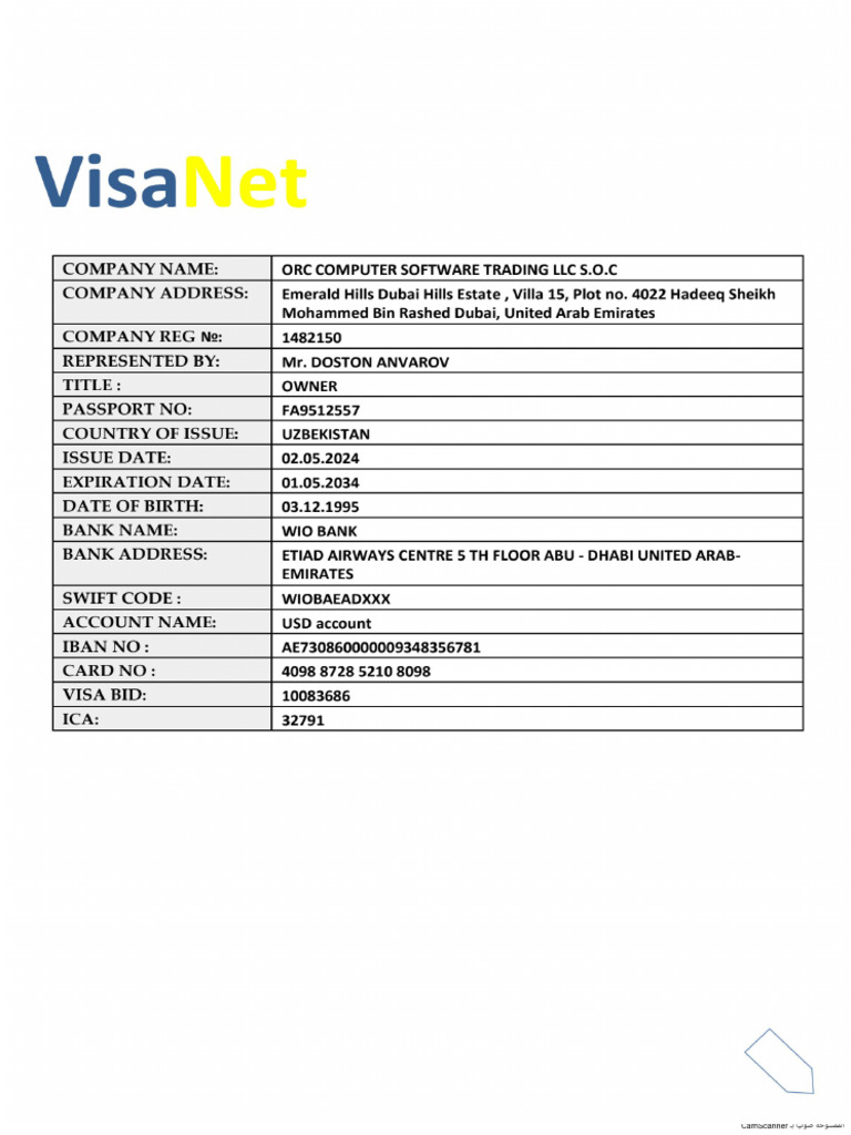 CIS VisaNet | PDF