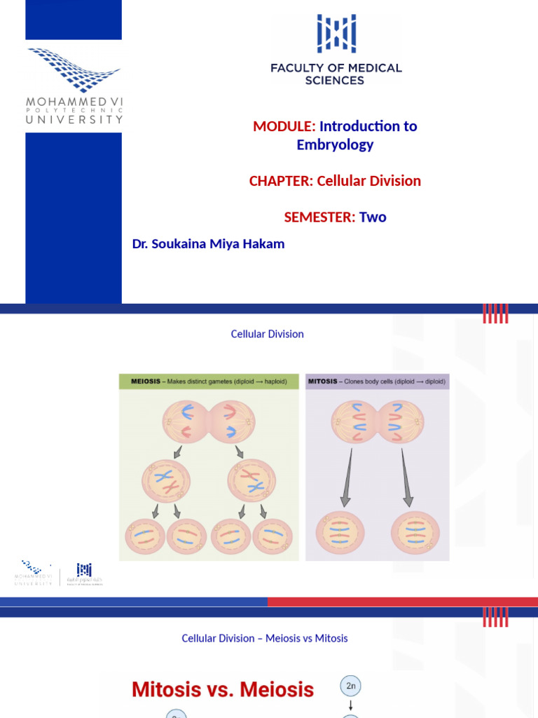 Cellular Division: Mitosis vs Meiosis | PDF