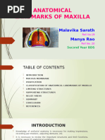 Anatomical Landmarks of Maxilla and Mandible | PDF