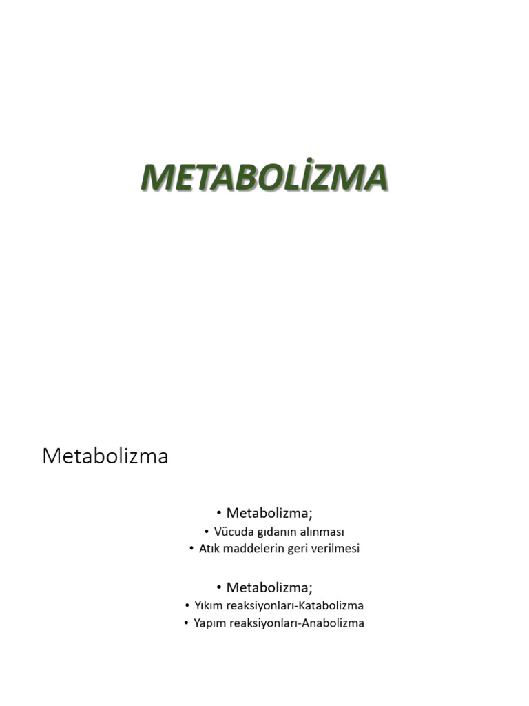 Ders 3-Metabolizma Ve Sindirim | PDF