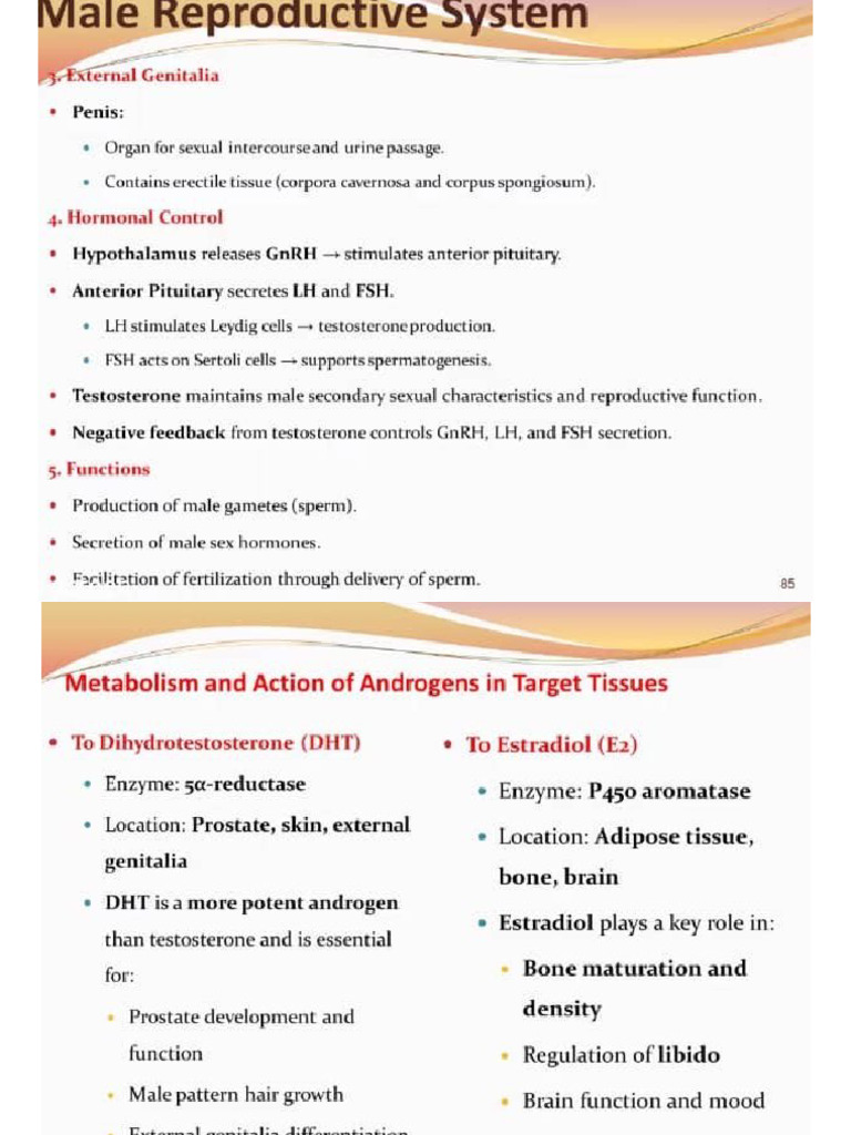 Male Reproductive Pharmacology - Alu?G | PDF