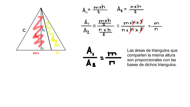 Áreas y Bases Proporcionales en Triangulos Con Misma Altura | PDF