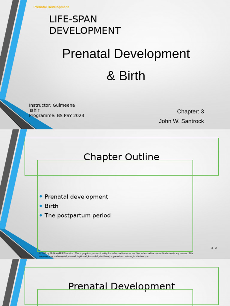 Prenatal Development | PDF | Prenatal Development | Embryo